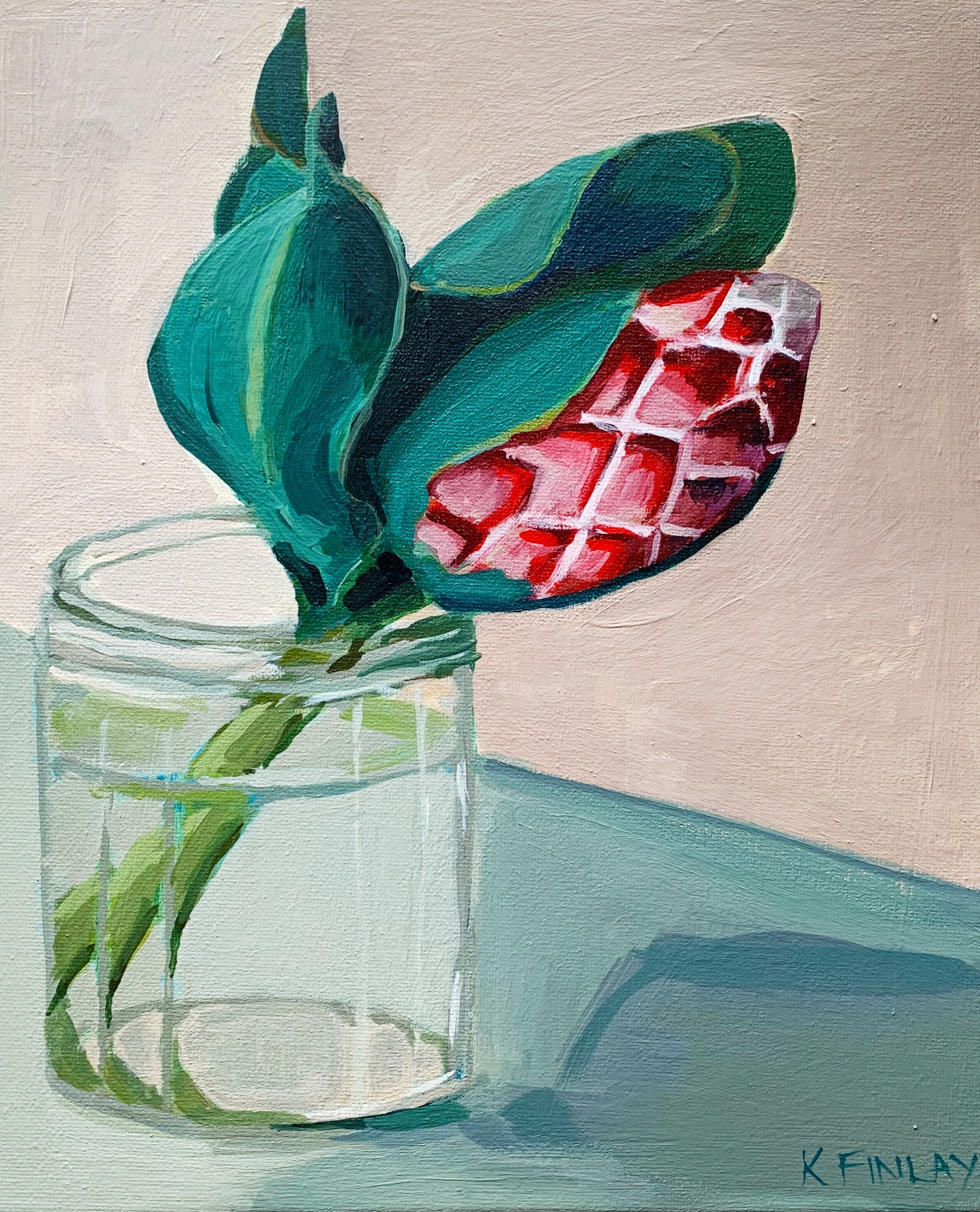 Protea – Kristen Finlay